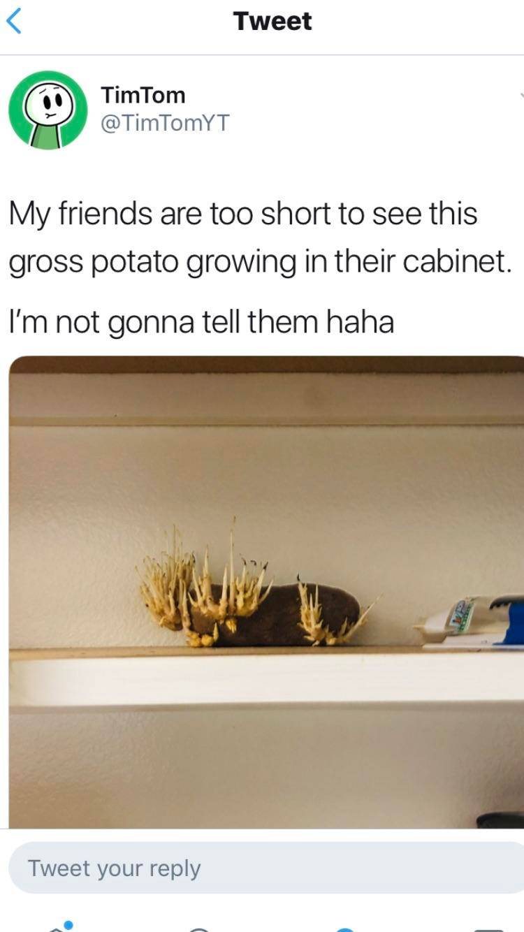 Tim is mad | Scrolller