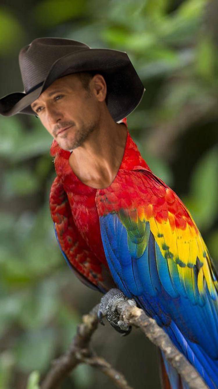 Tim Macaw | Scrolller