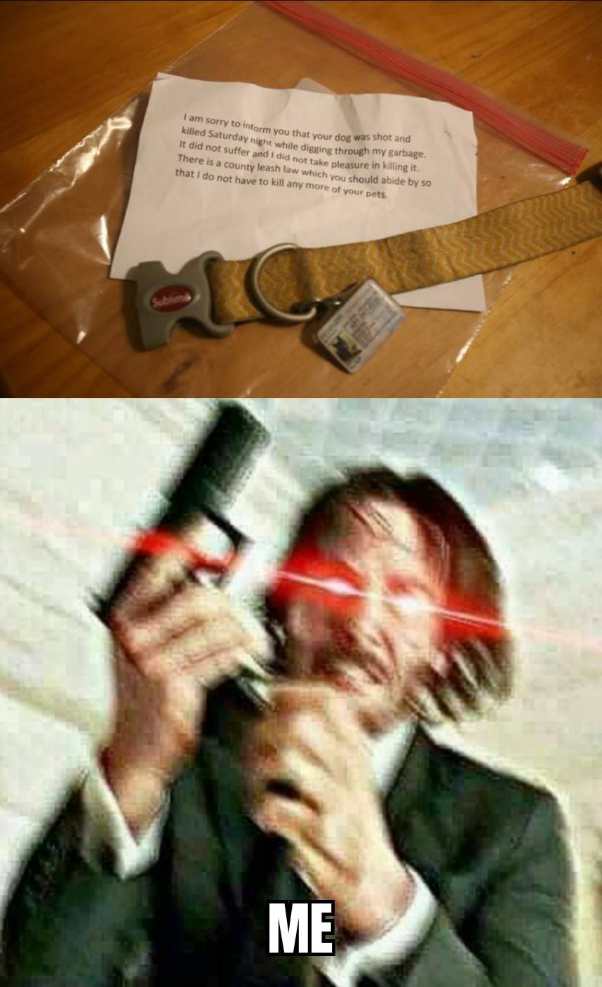 Time to become john wick | Scrolller