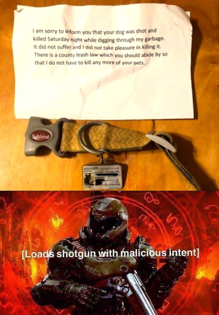 Time to kill that motherfucker | Scrolller