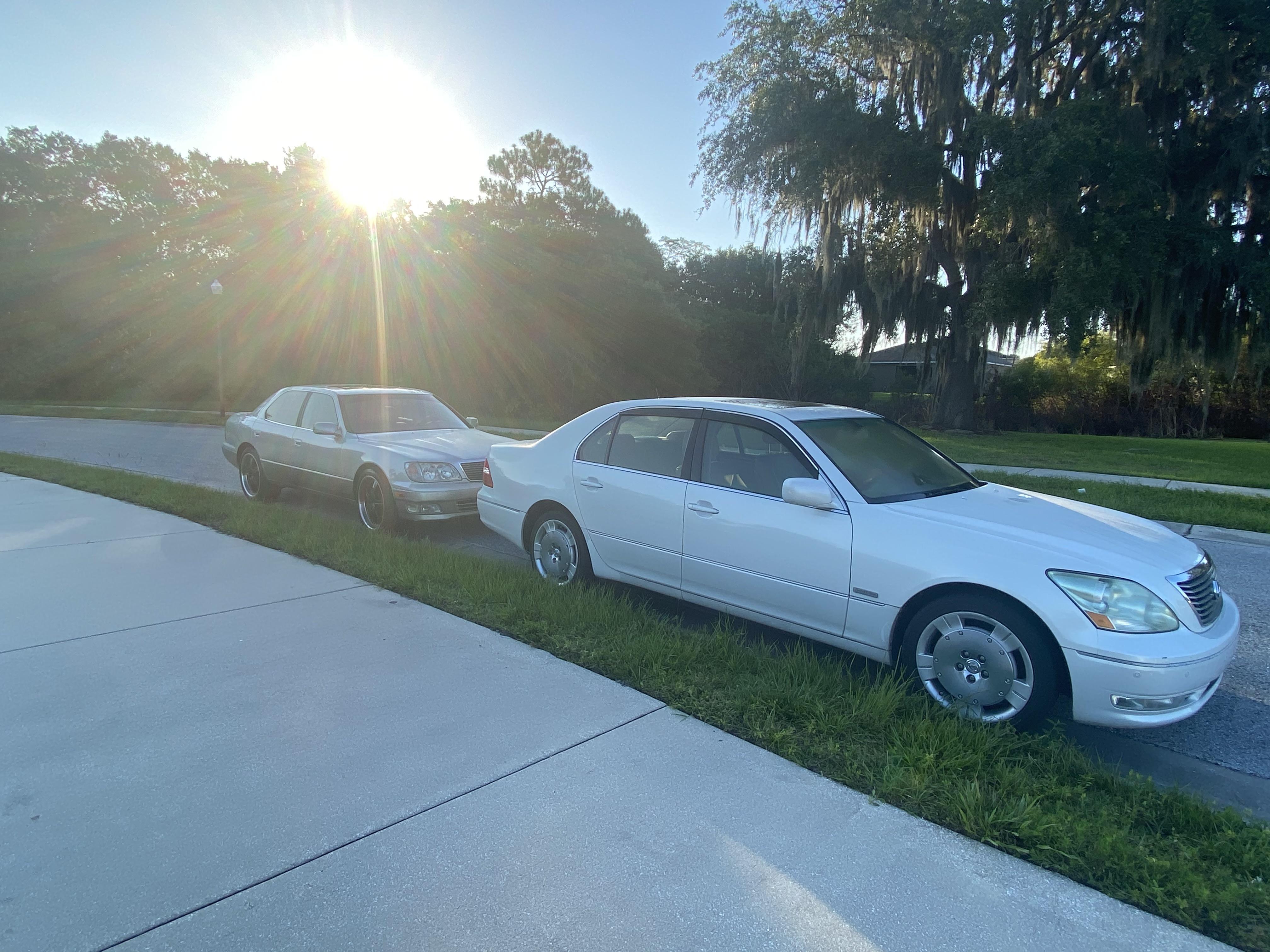 Timeless | Scrolller