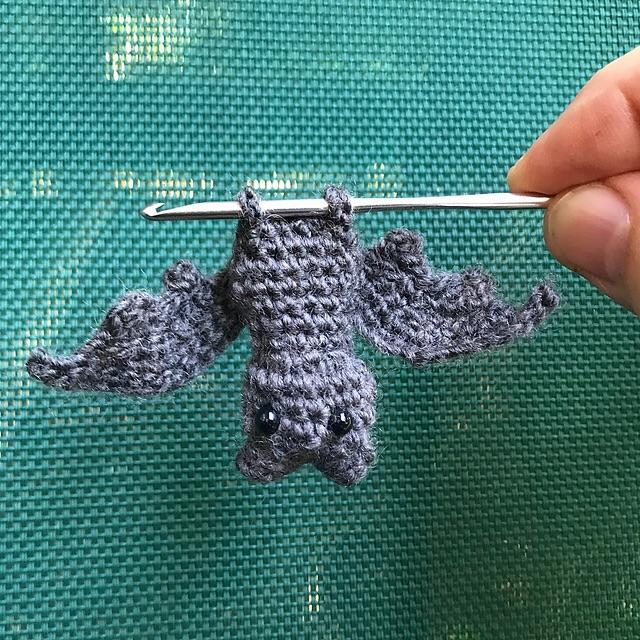 Tiny bat! | Scrolller