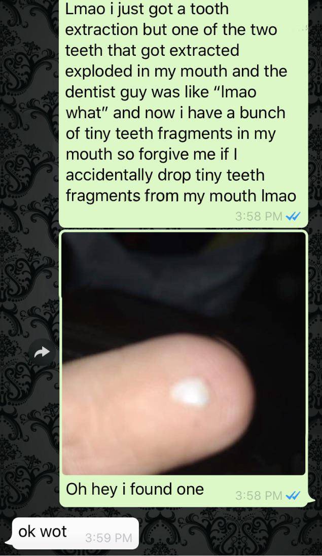 Tiny exploded teeth fragments | Scrolller