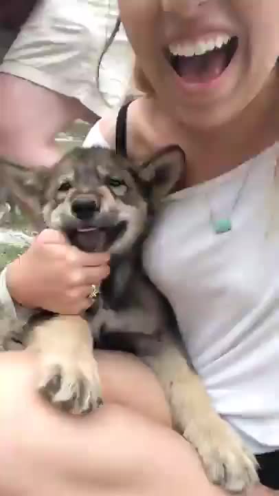 Tiny Moon Moon loves the camera | Scrolller