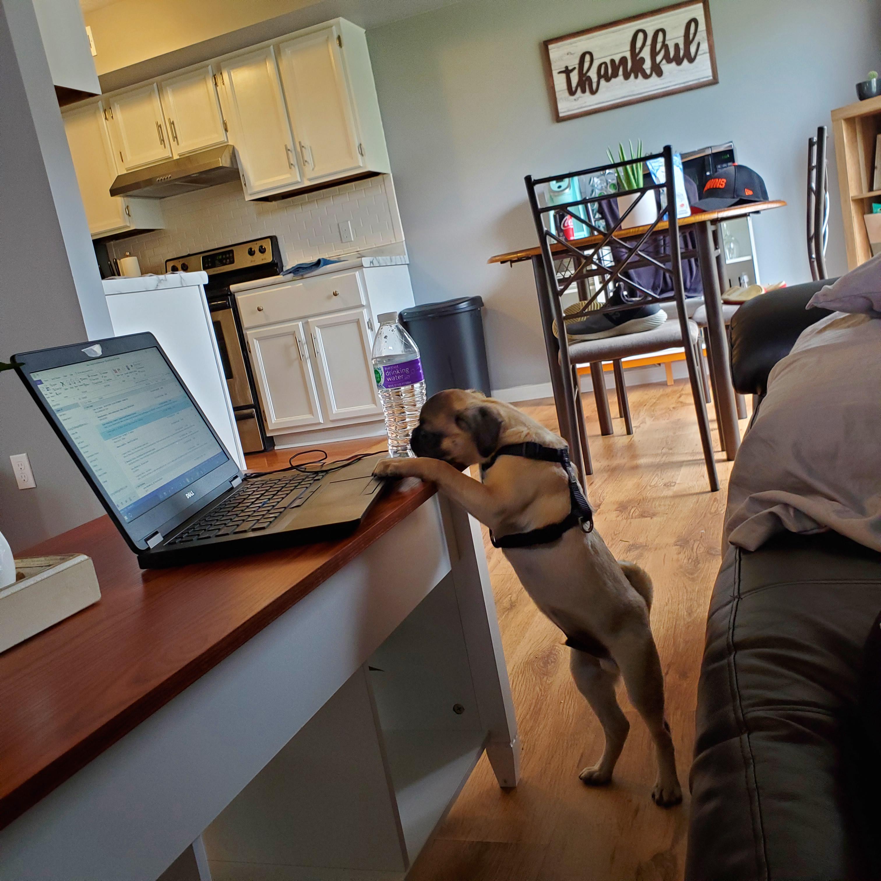 Tito won employee of the month last month. Here he is working overtime. | Scrolller