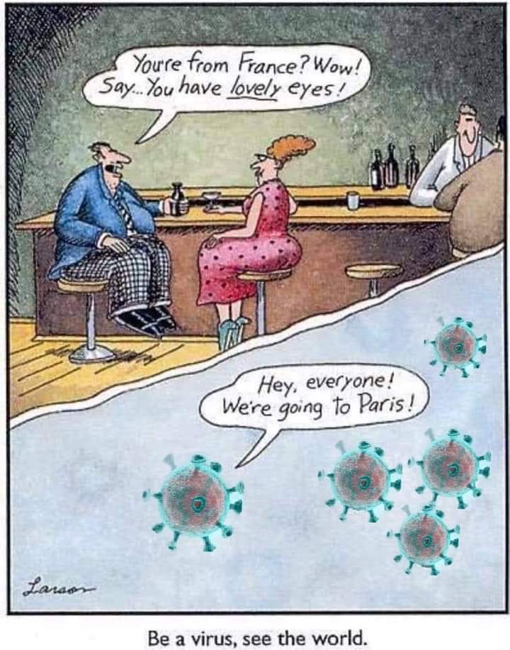 To the Far Side and beyond... | Scrolller