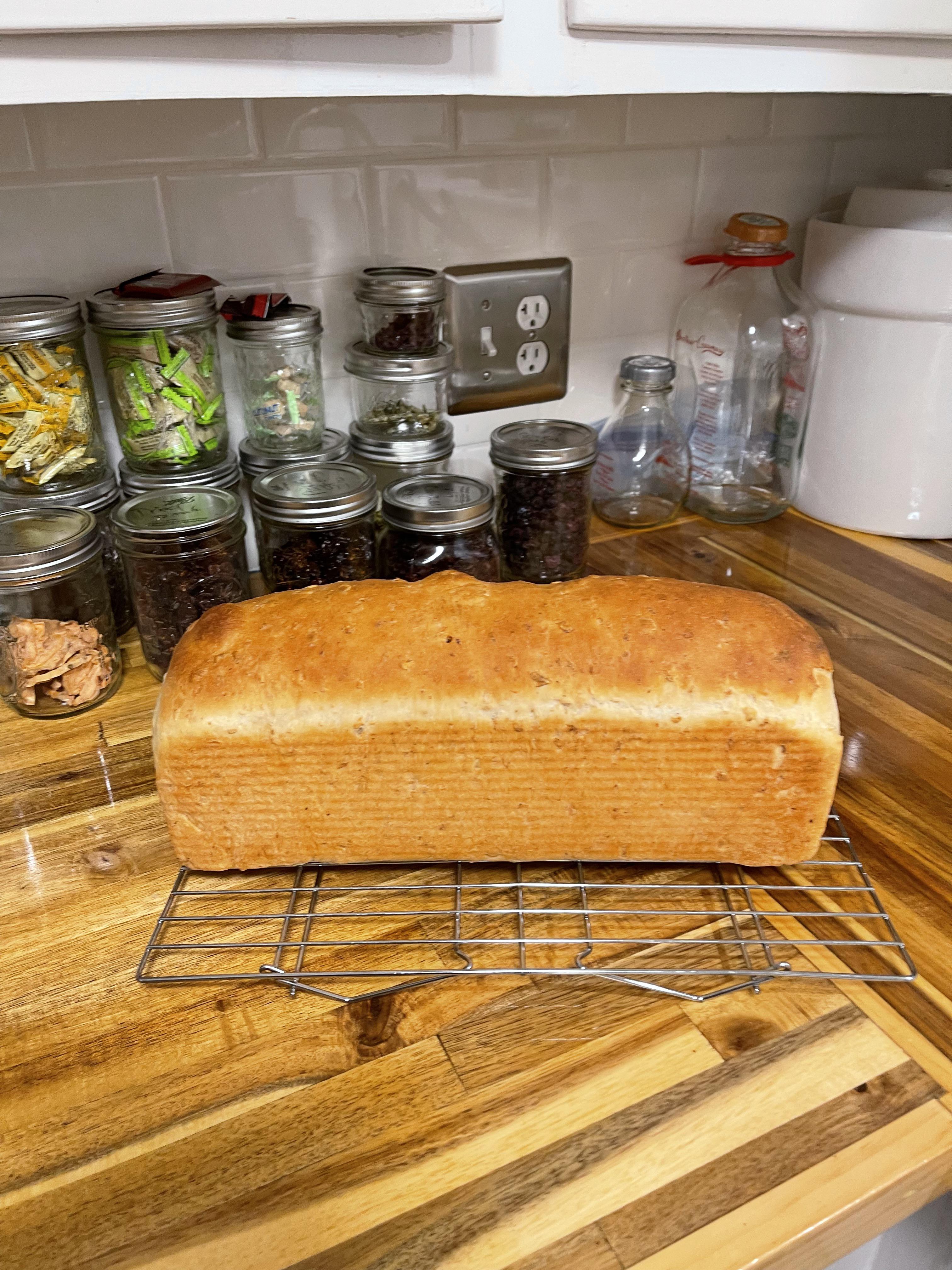 Today’s sandwich bread day! | Scrolller