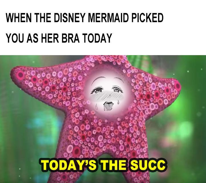 Todays the succ! | Scrolller