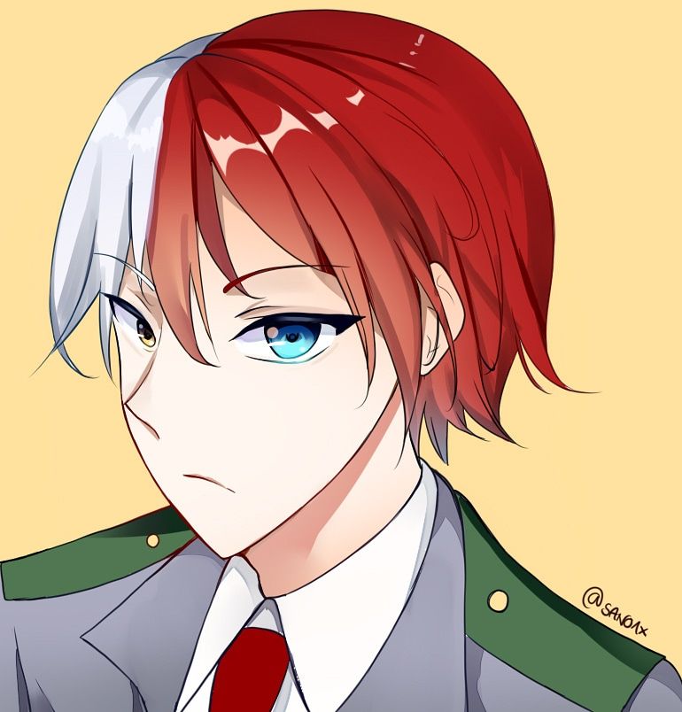 Todoroki👀 | Scrolller