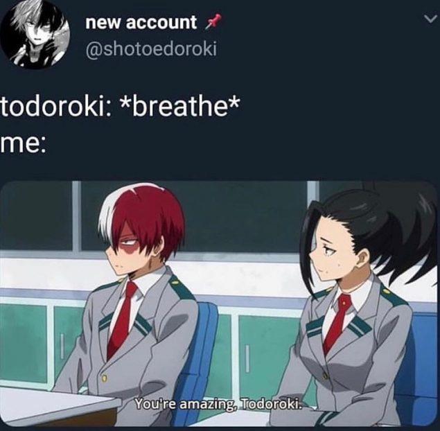 todoroki is the god dam best | Scrolller