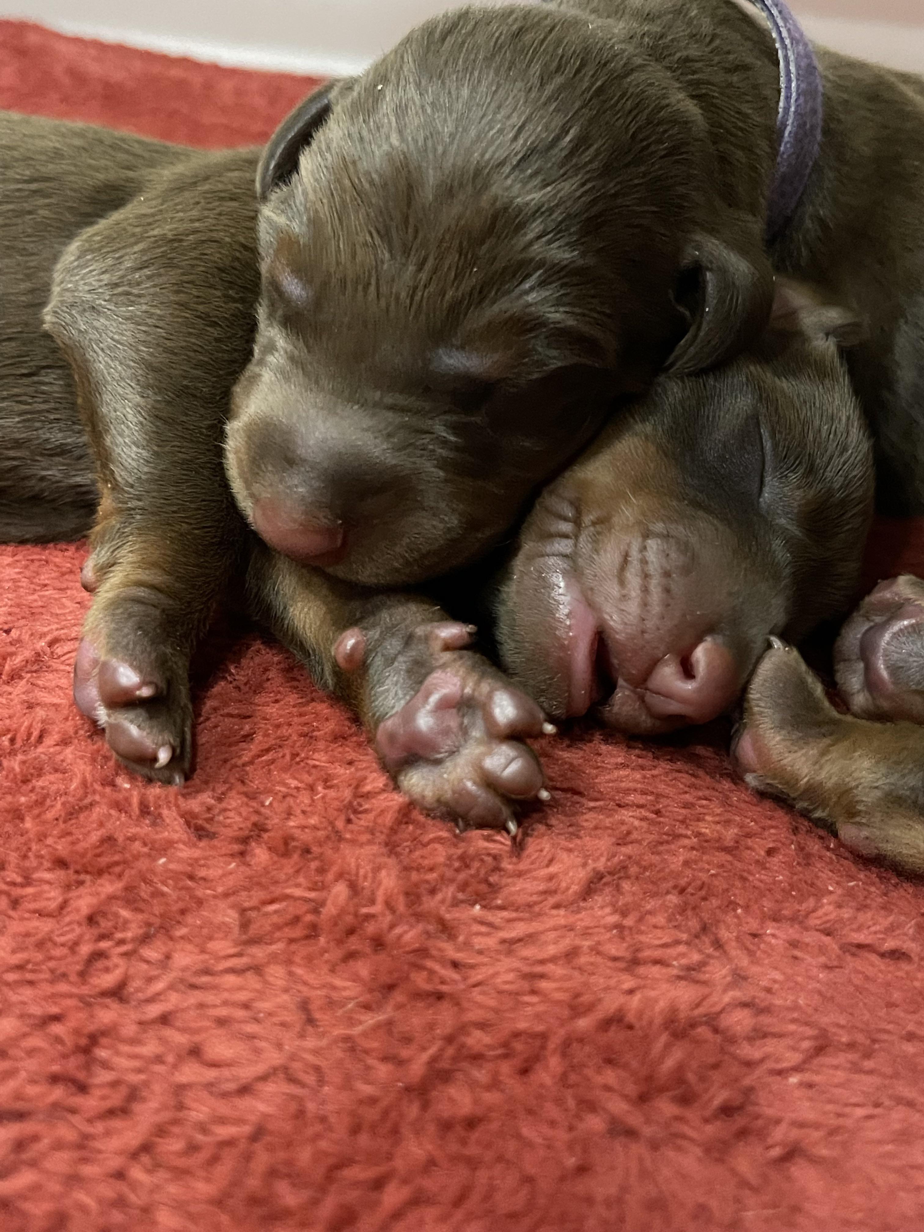 Toe beans 🥰 | Scrolller