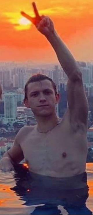 Tom Holland | Scrolller