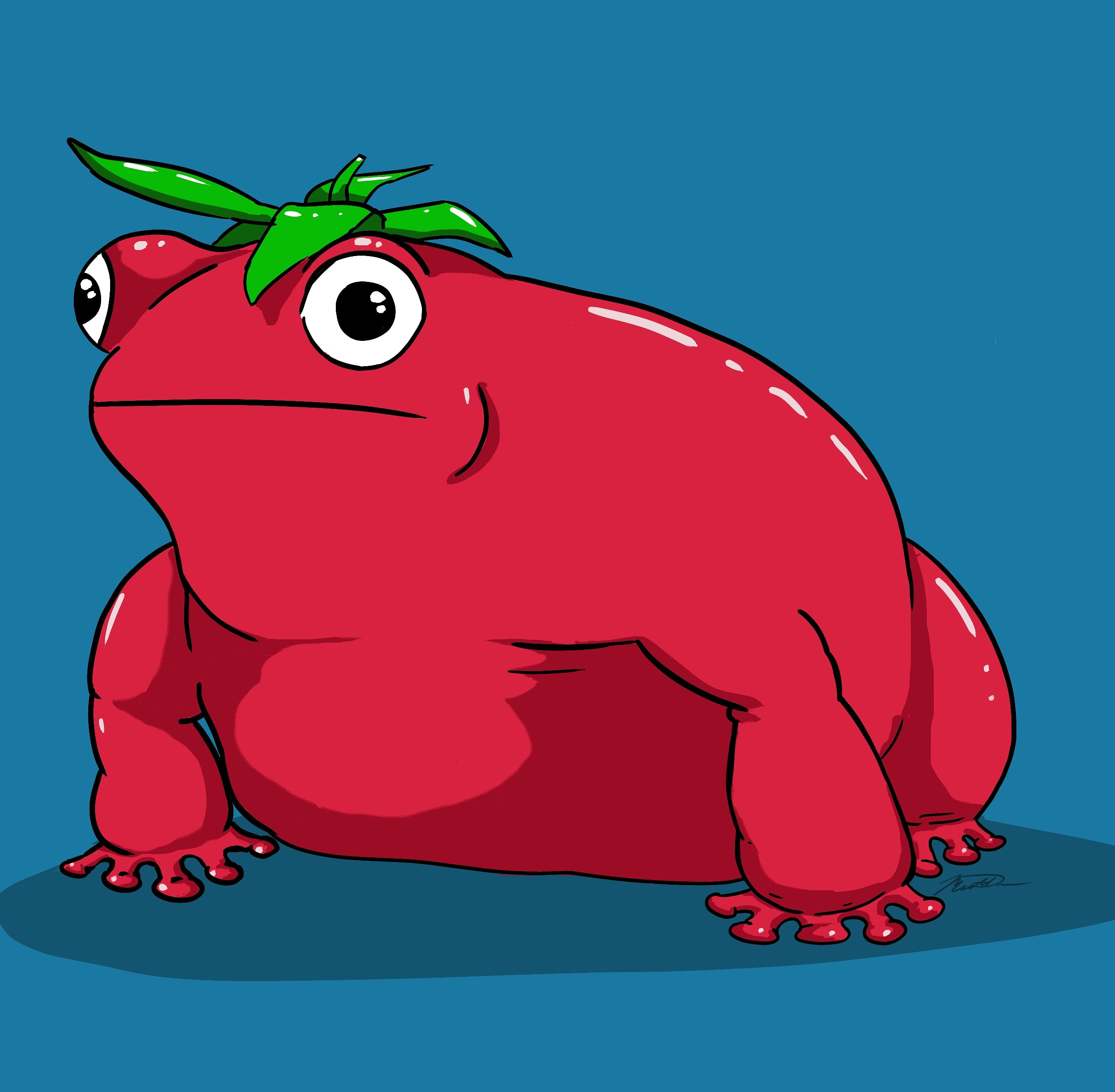 Tomato Frog - Matt Dean | Scrolller