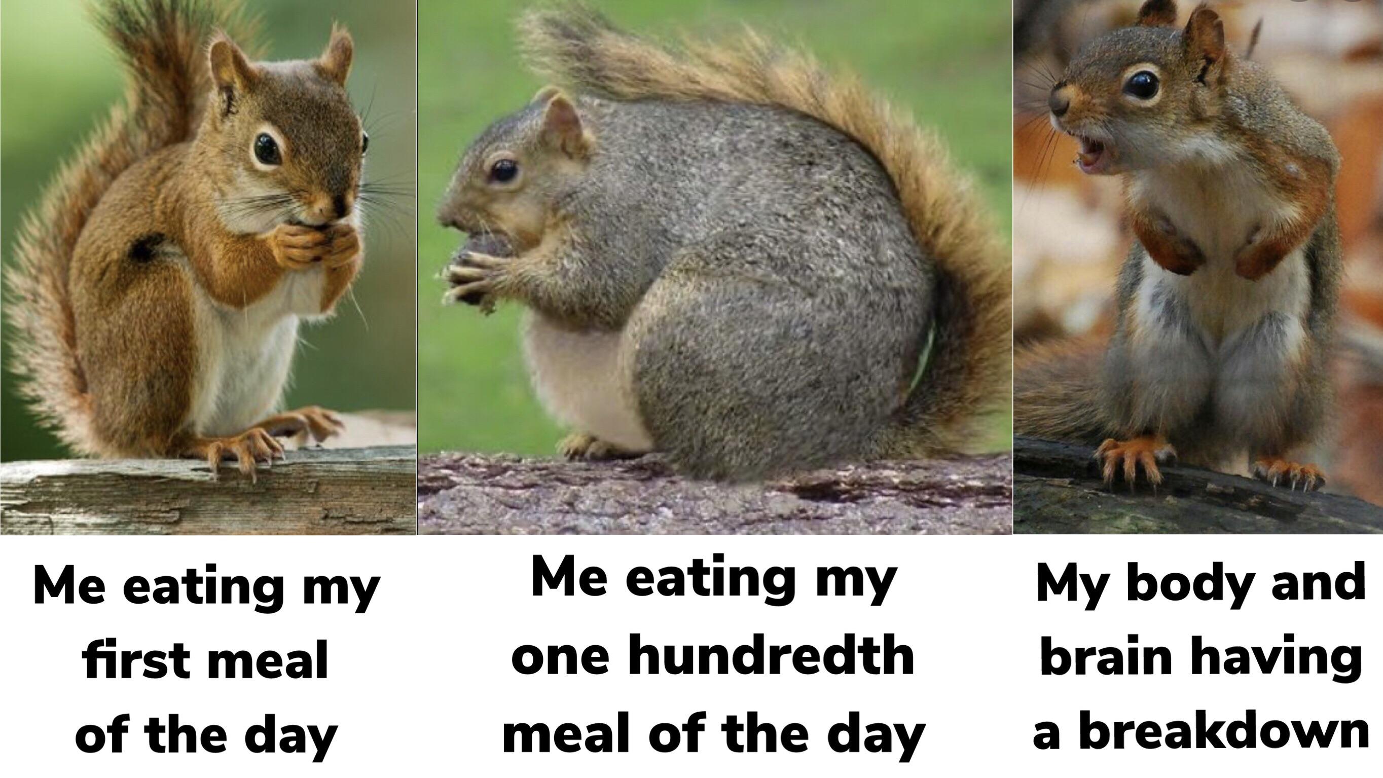 Too much of good is bad | Scrolller