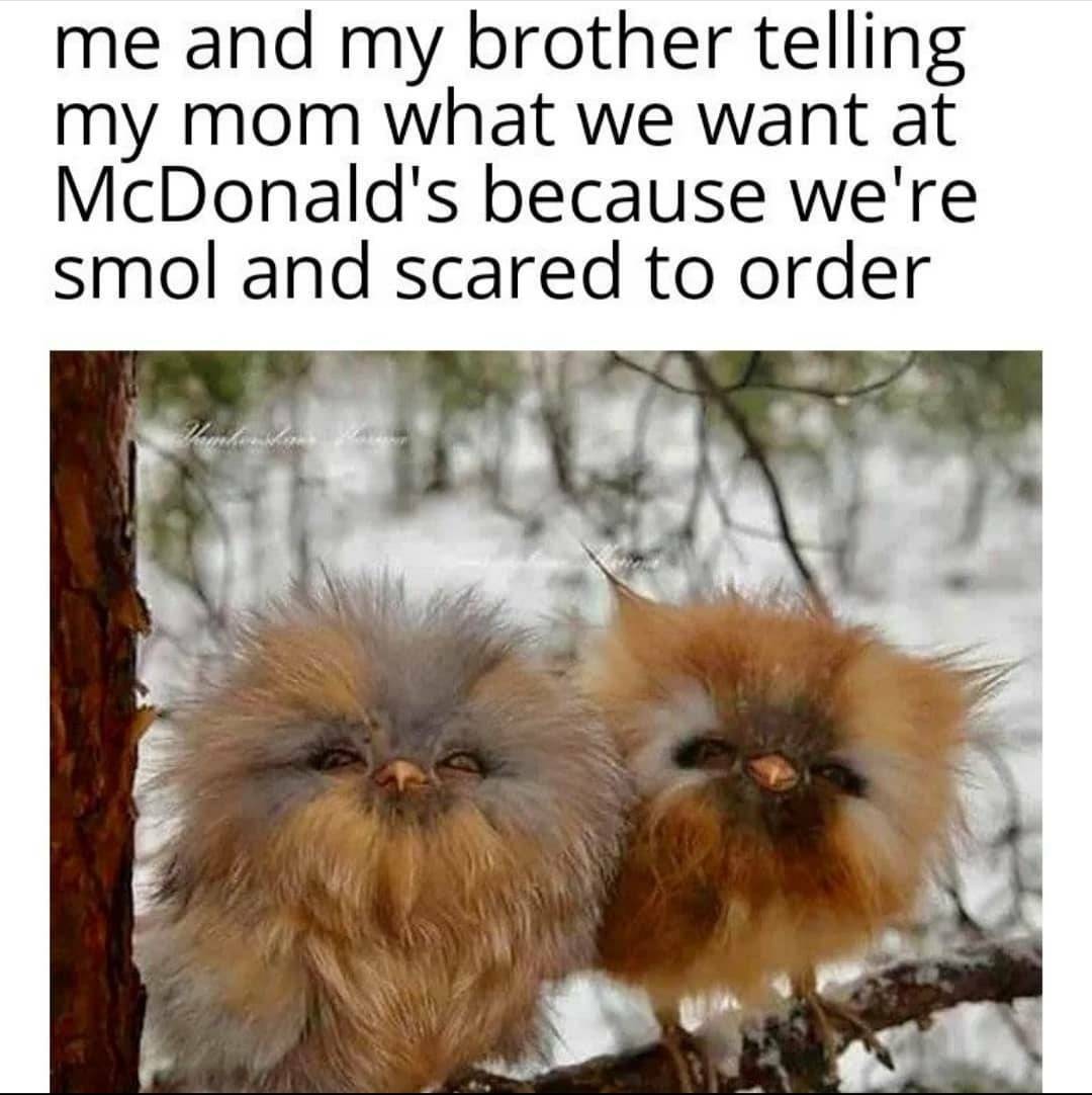 too scared of talking ;-; | Scrolller