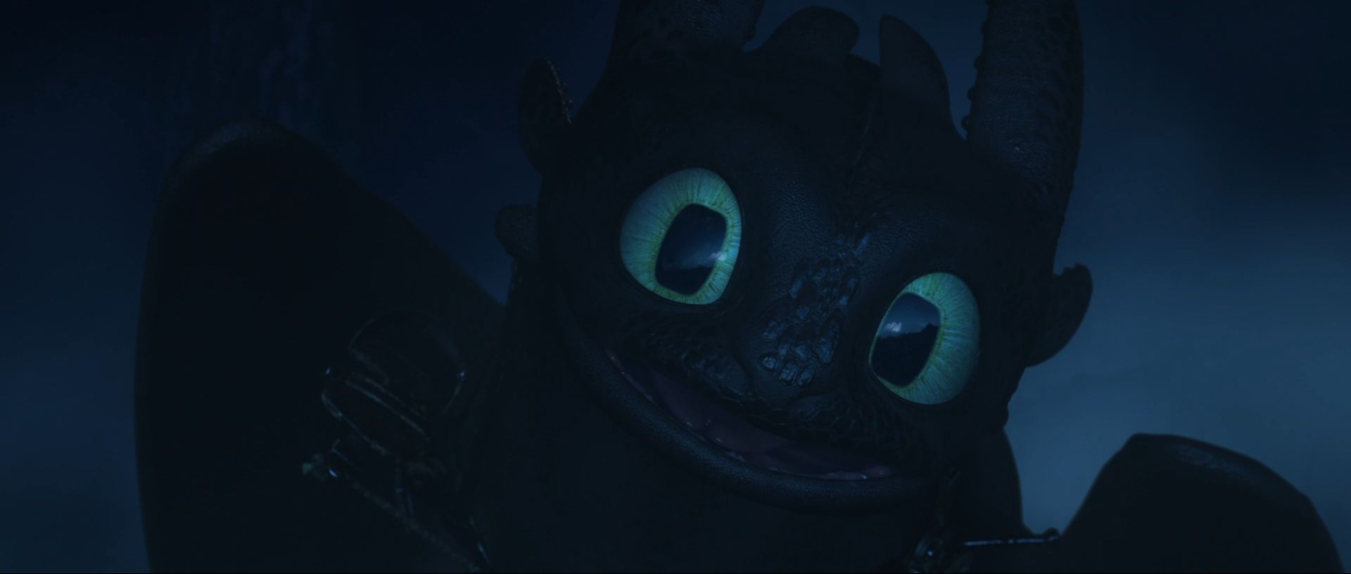 Toothless Shot of the Day (#282) | Scrolller