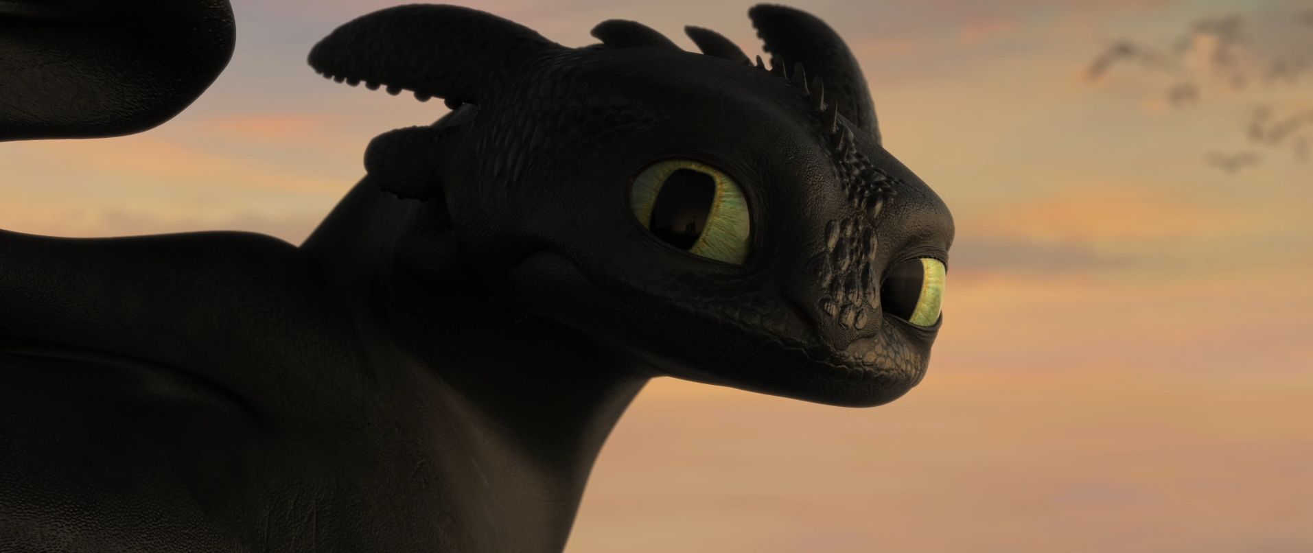 Toothless Shot of the Day (#356) | Scrolller