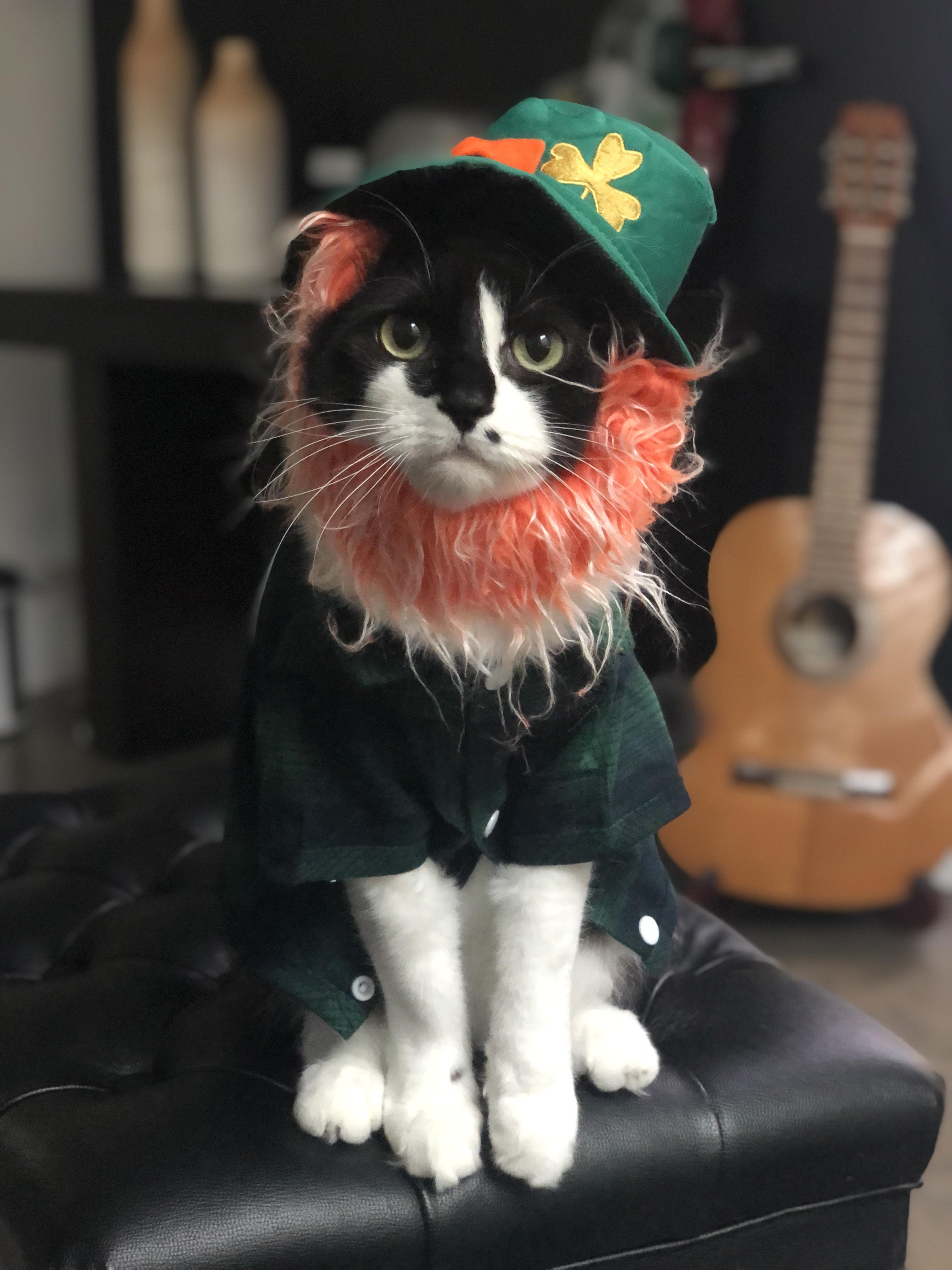 Top O the morning to ya! | Scrolller