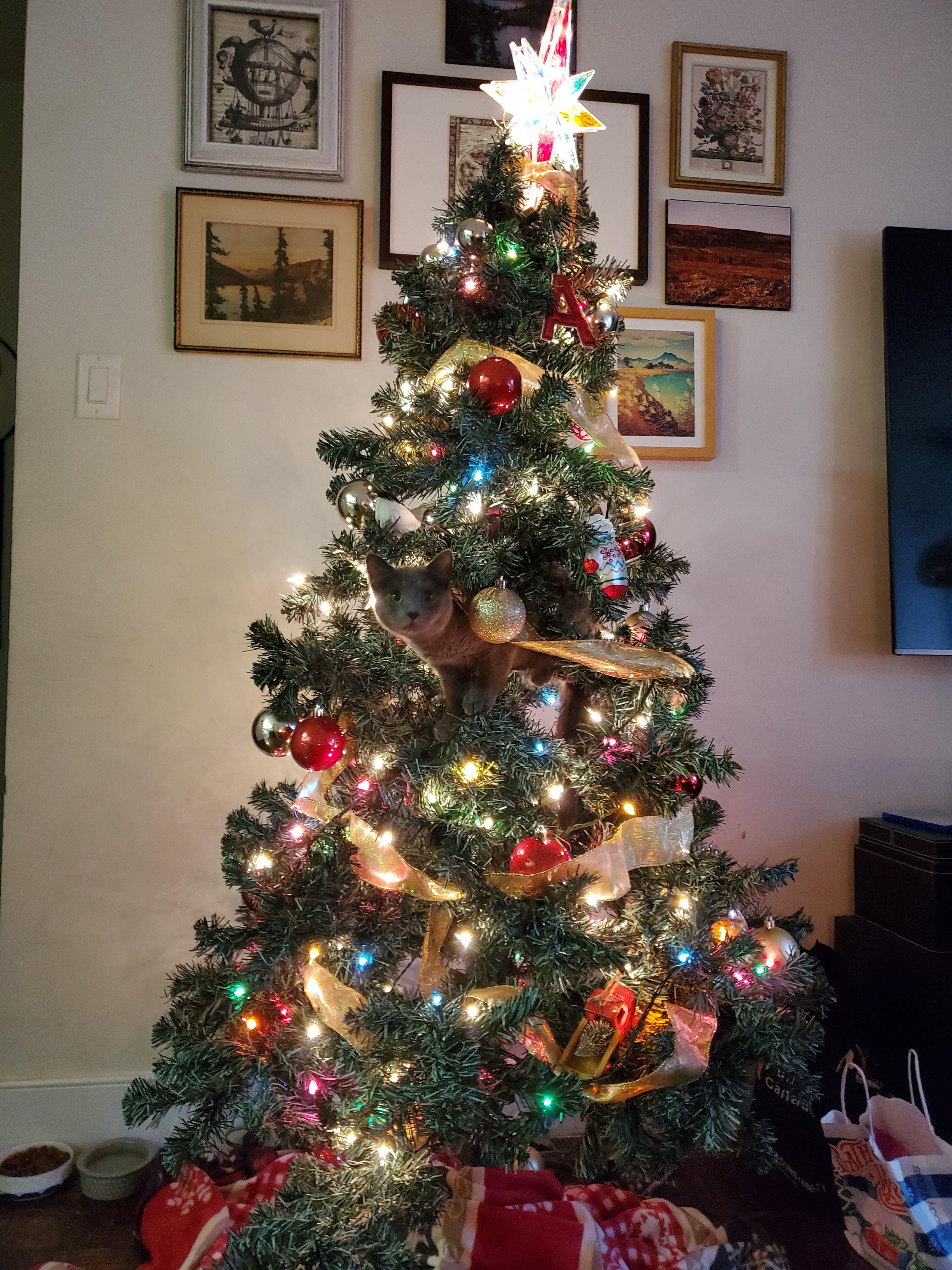 Top of the naughty list... | Scrolller