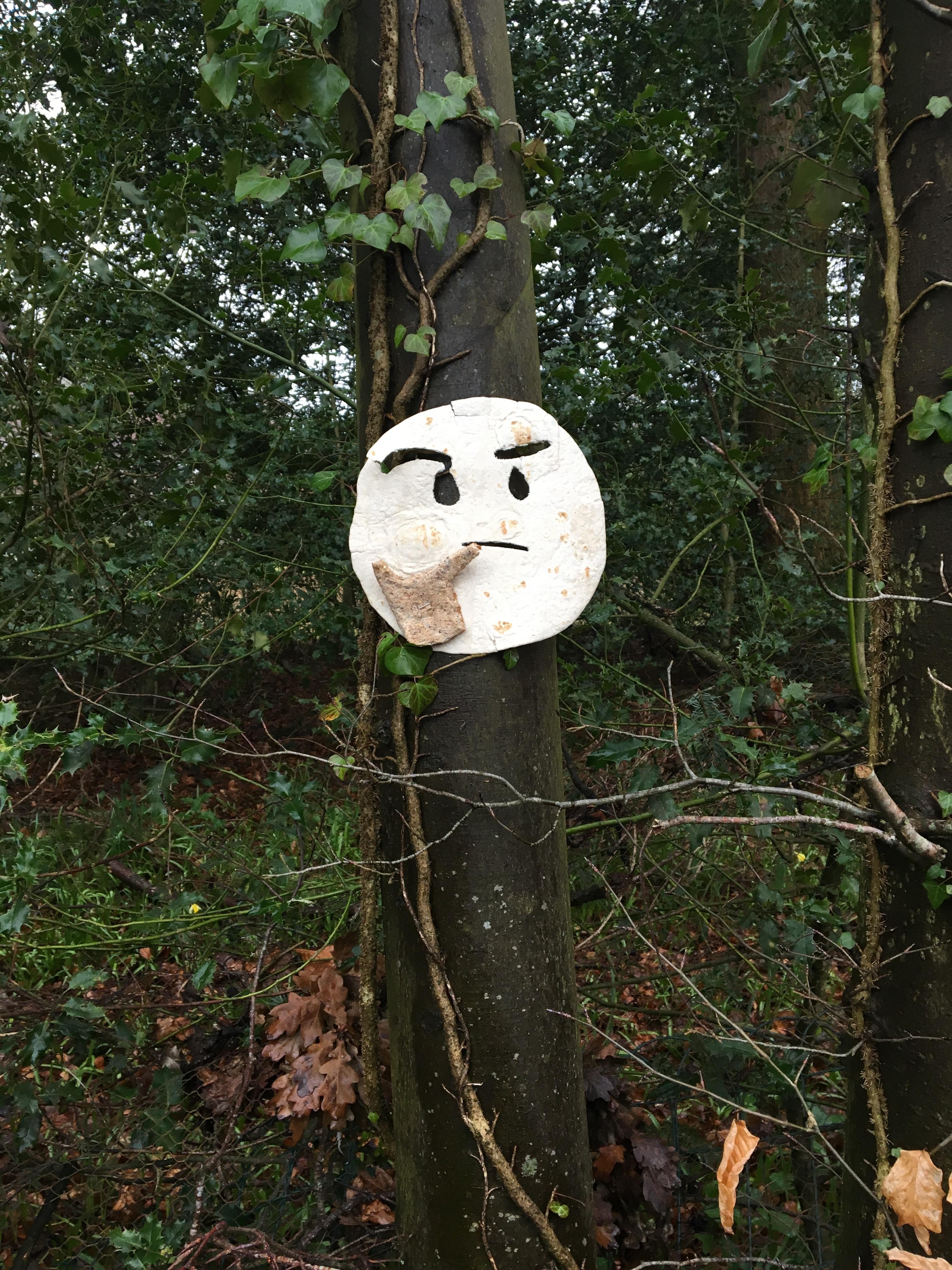 Tortilla Wrap and Wholegrain Snack | Scrolller