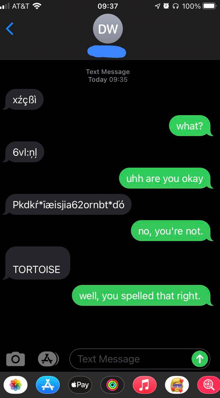 TORTOISE | Scrolller