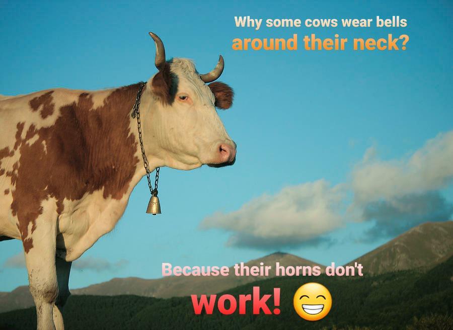 Total dad joke | Scrolller