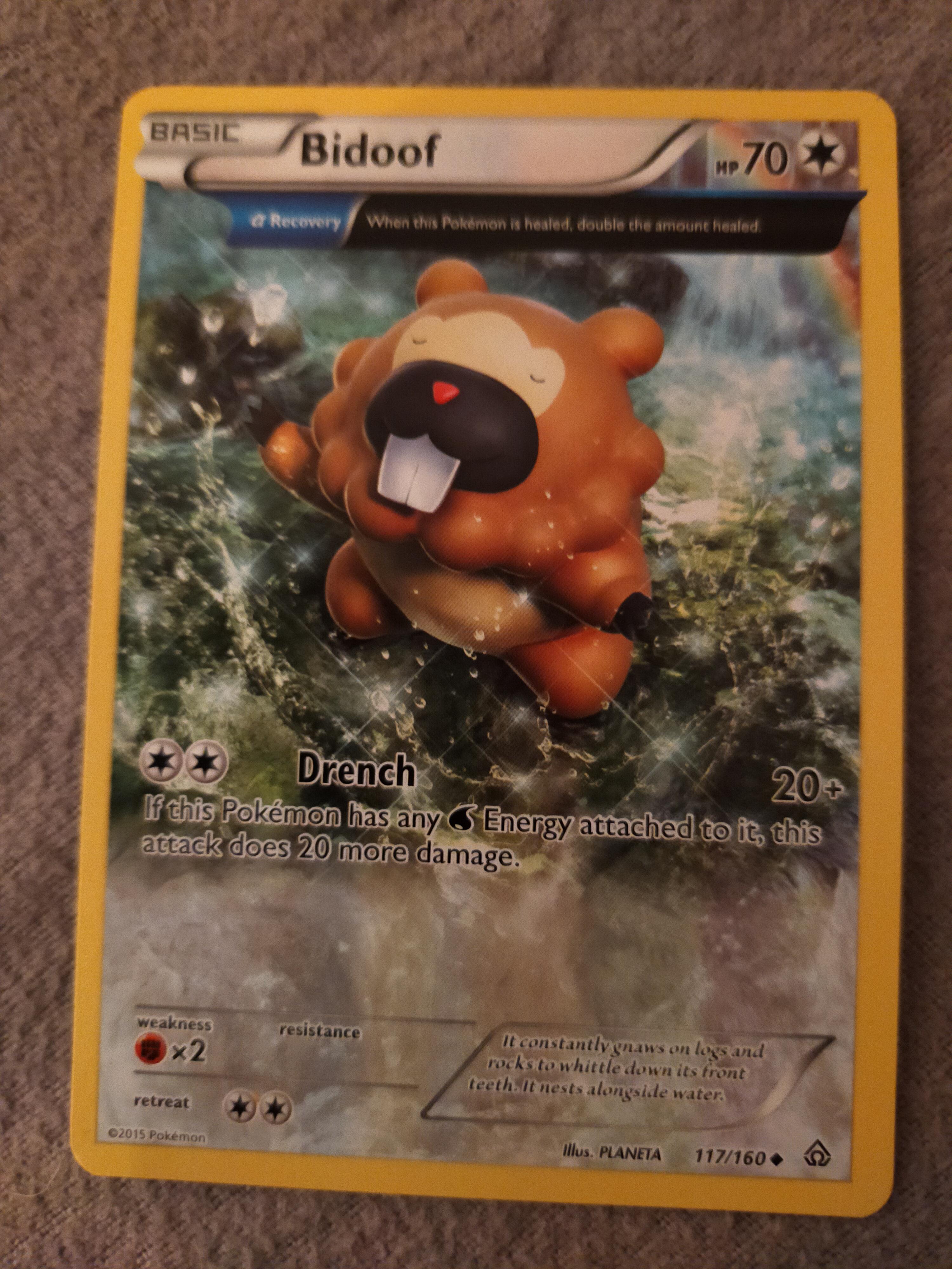 Touch the Bidoof! | Scrolller