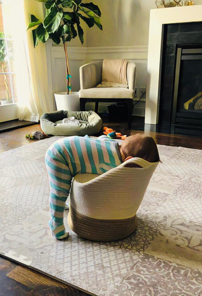 Toy Dive | Scrolller