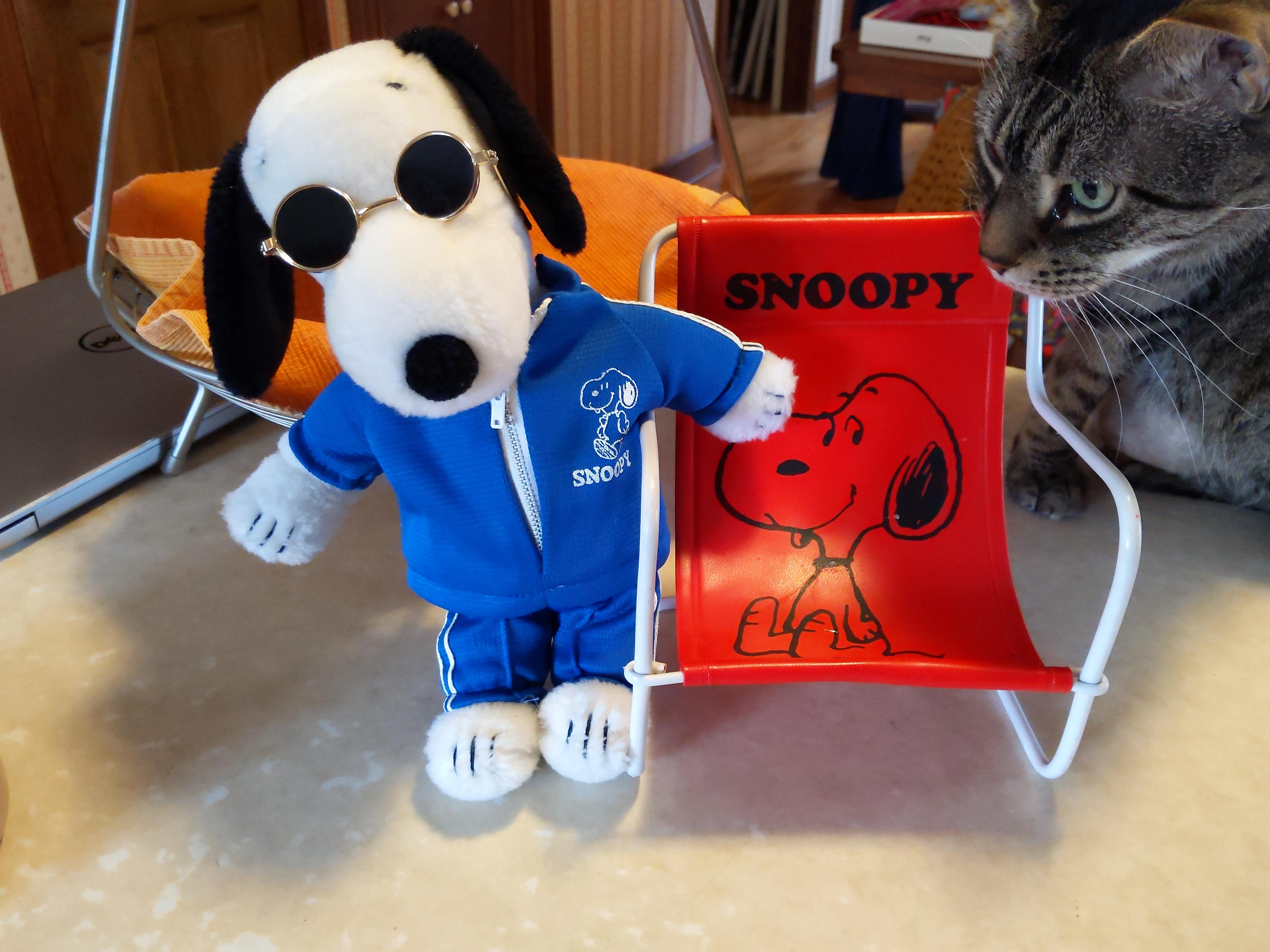 Track suit snoopy | Scrolller