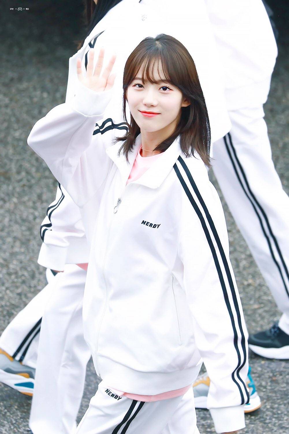 Tracksuit Luda | Scrolller