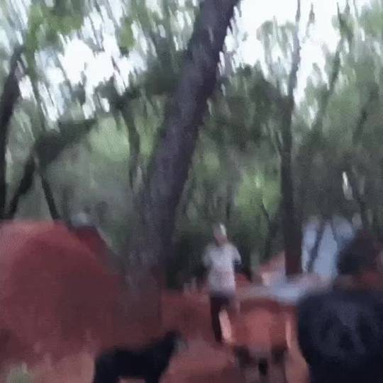 Trail Boss | Scrolller