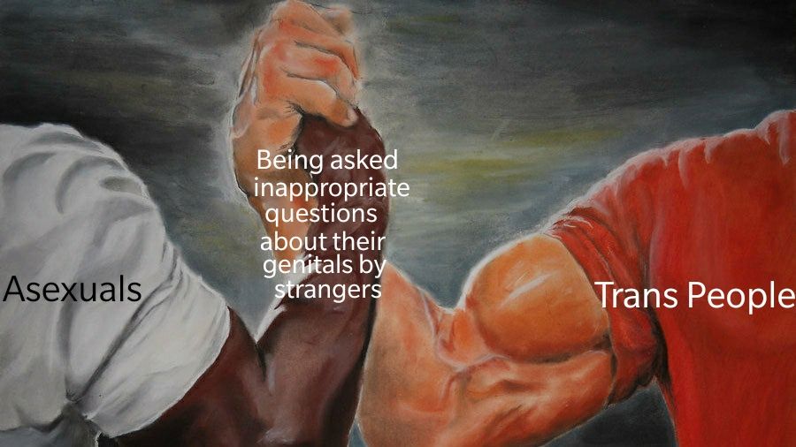 Trans Ace People Get Double the Awkwardness | Scrolller