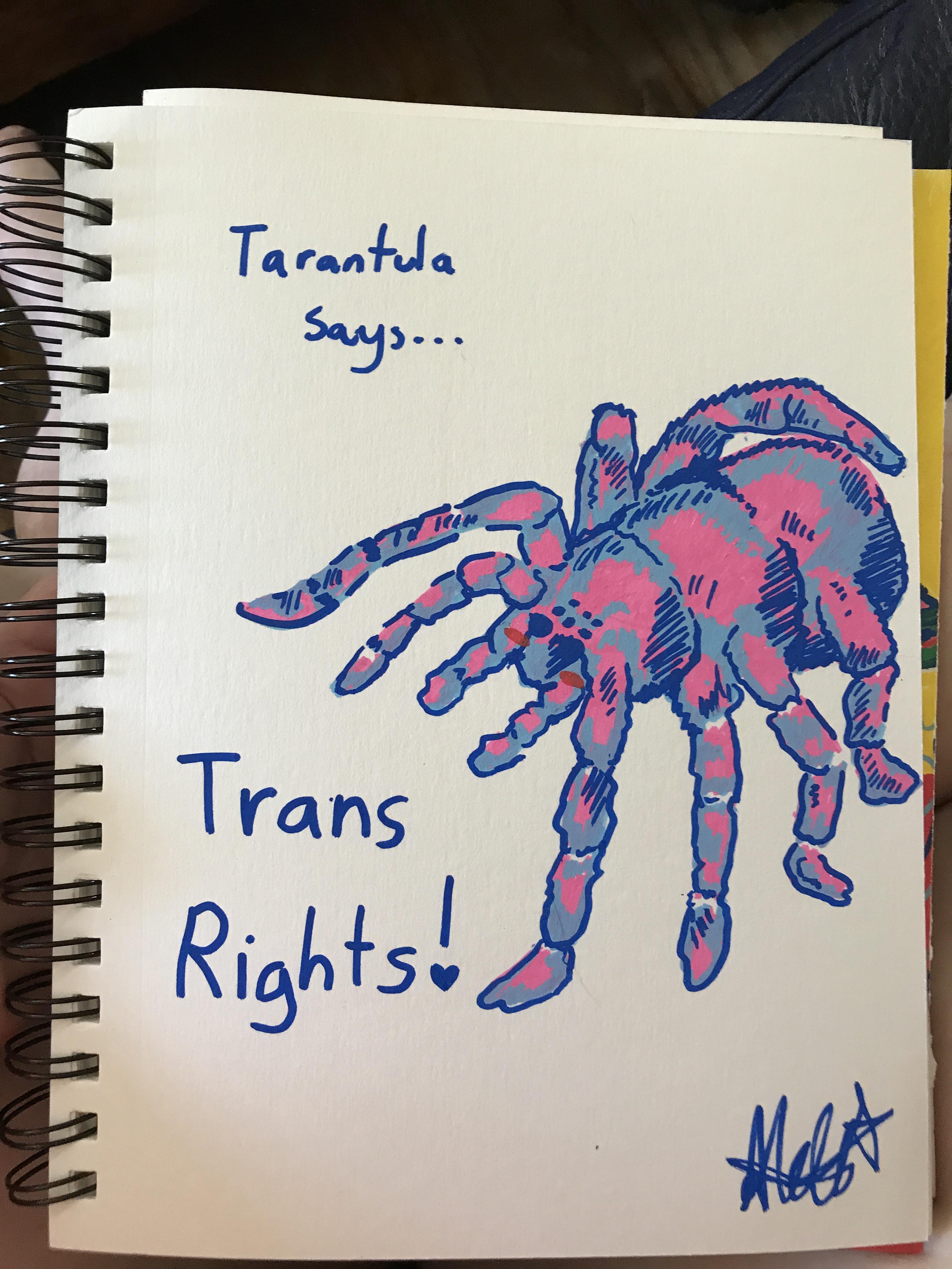 Trans rights | Scrolller