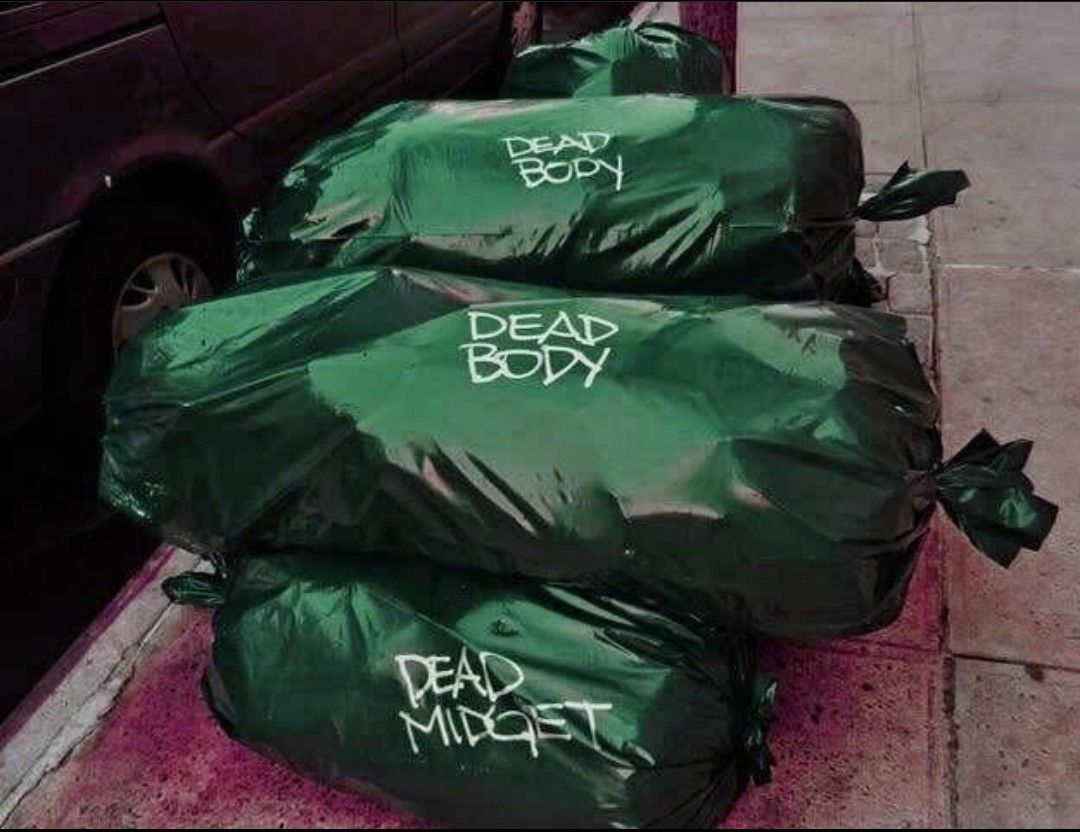 Trash Collection day in my city... | Scrolller