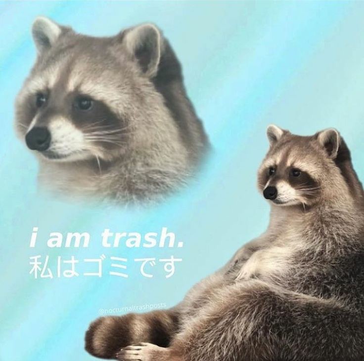 Trash rule | Scrolller