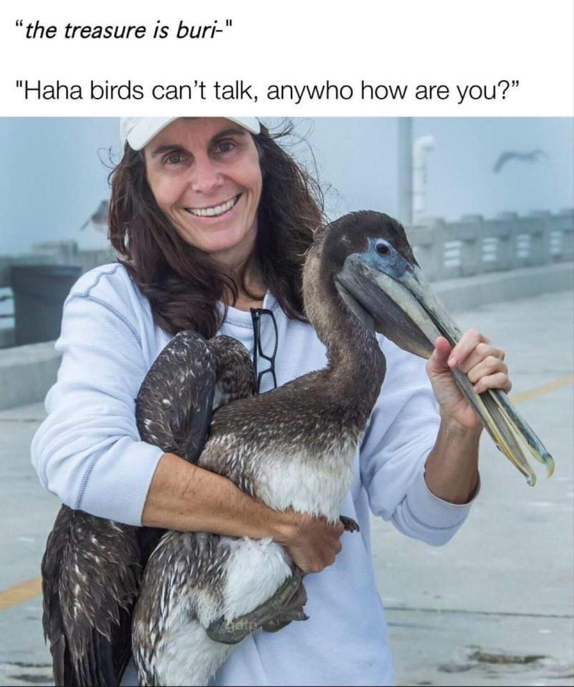 Treasure Hunter | Scrolller