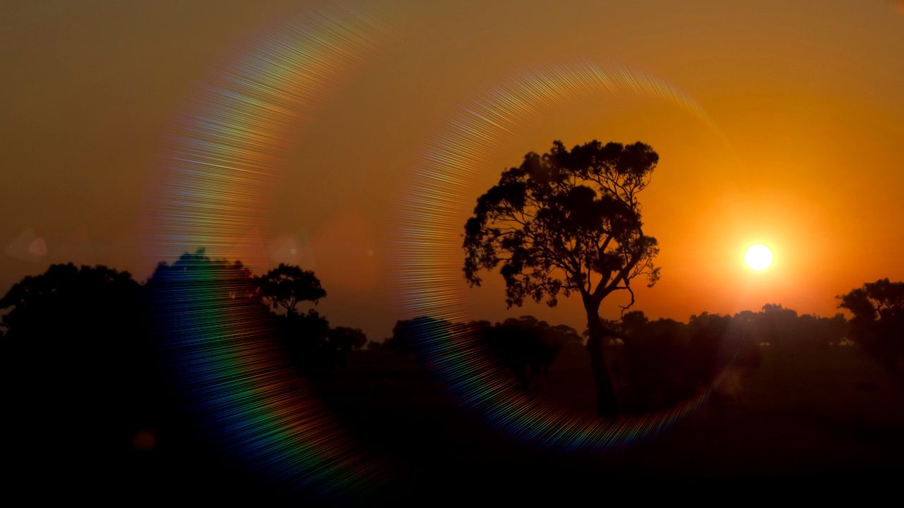 Tree Lens Flare | Scrolller