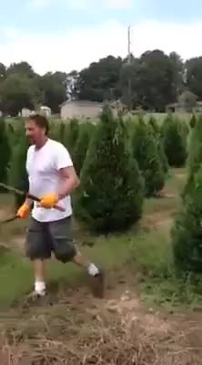 Tree Trimming Samurai | Scrolller