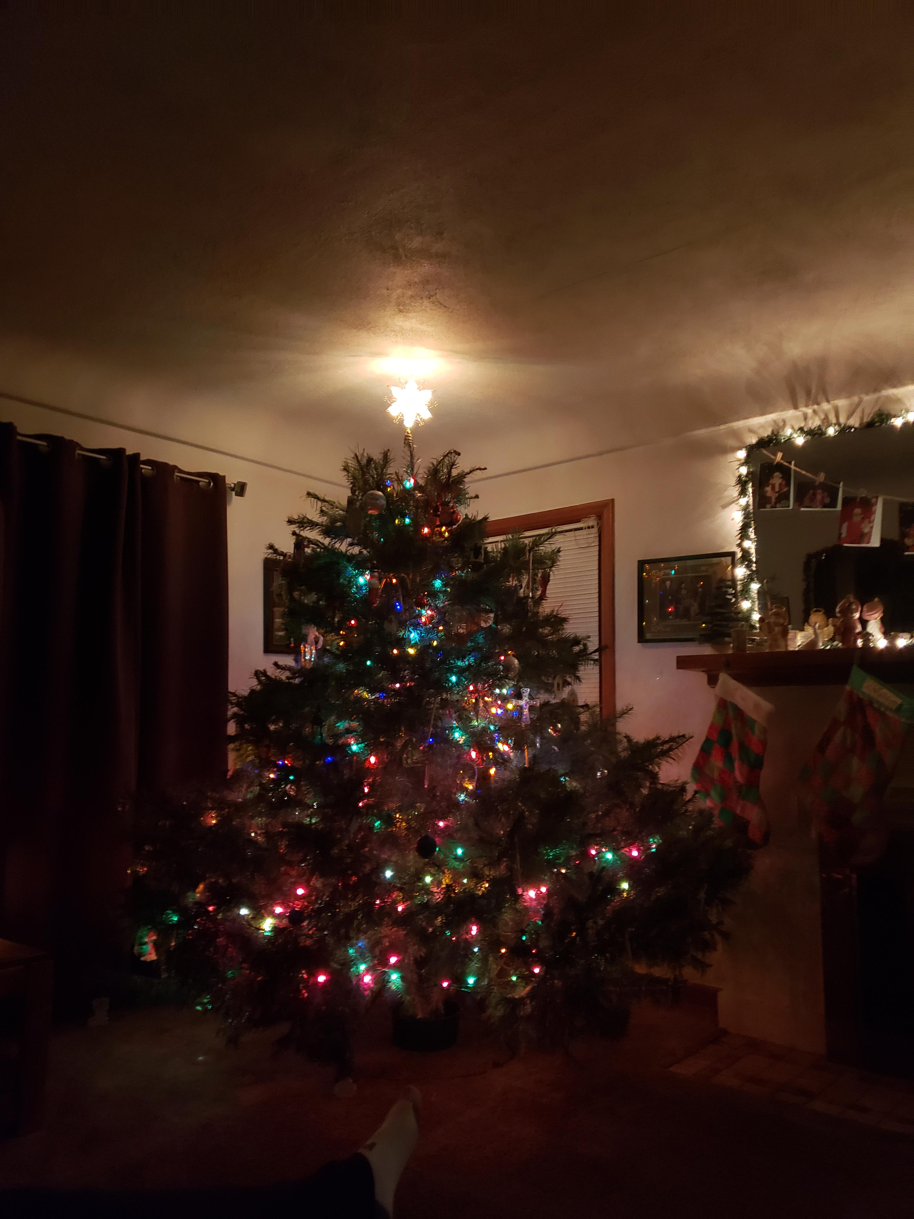 Trees a little bit big, but it's beautiful! | Scrolller