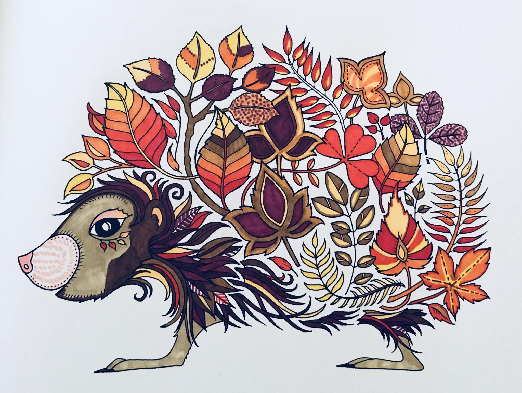 Tried adult coloring for the first time. | Scrolller