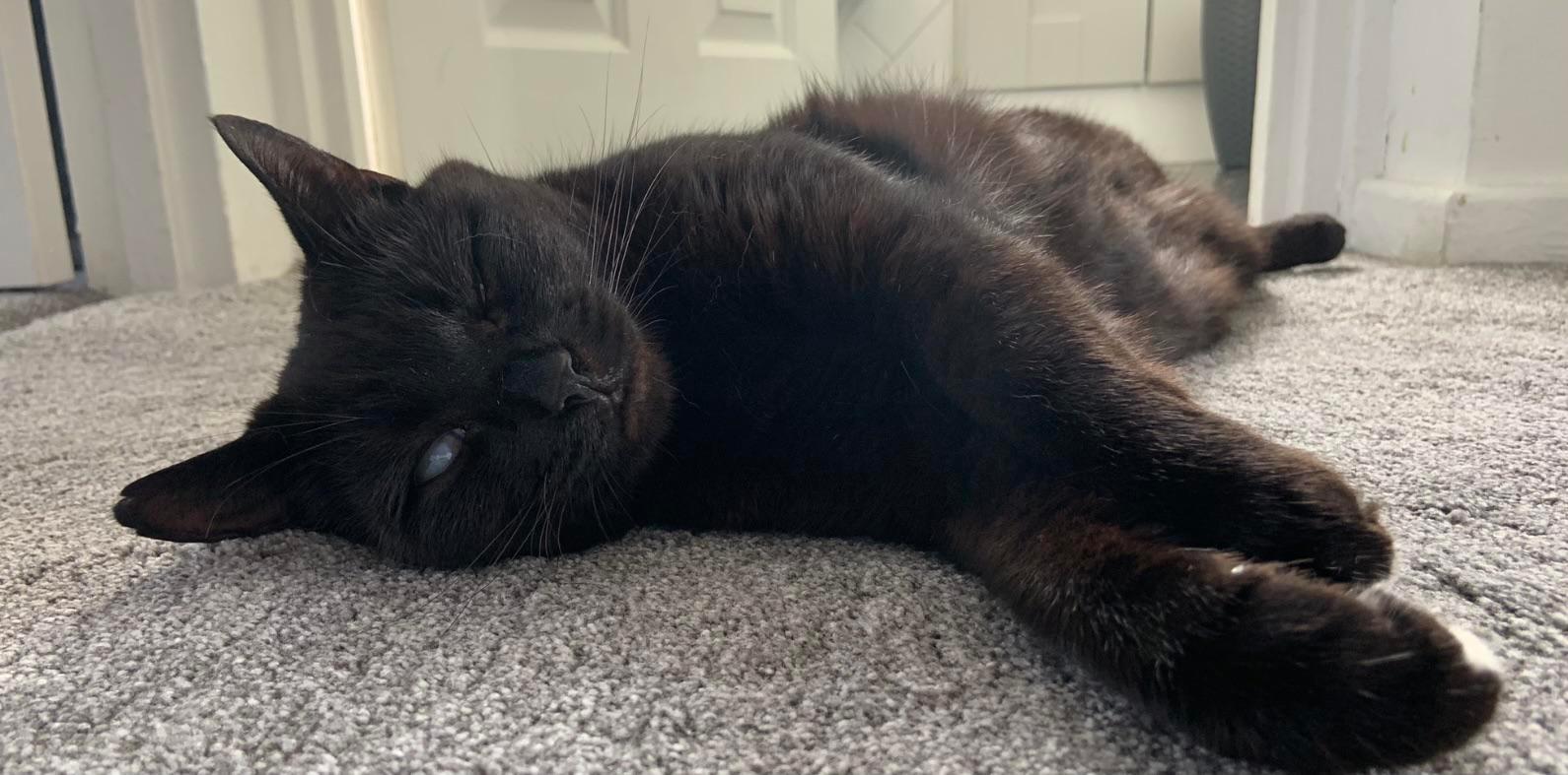 Tripping hazard across the landing floor. | Scrolller