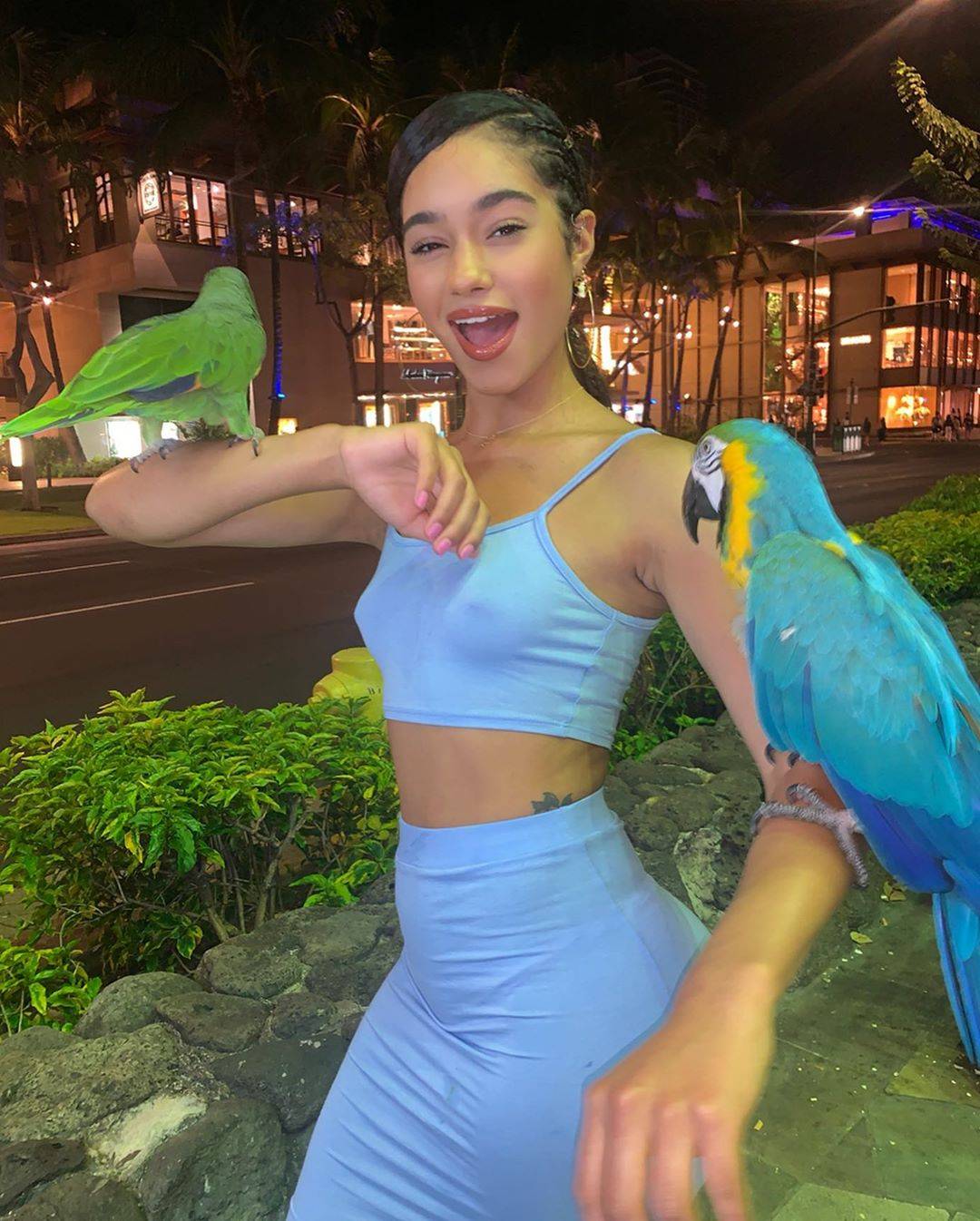 Tropical | Scrolller