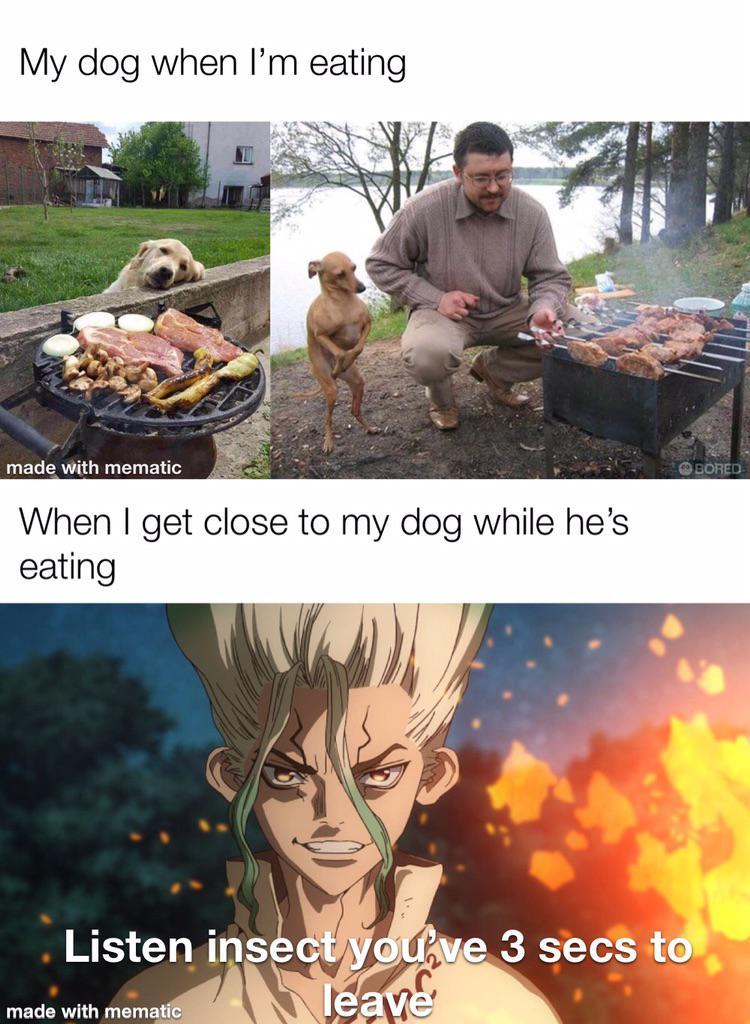 True dat | Scrolller