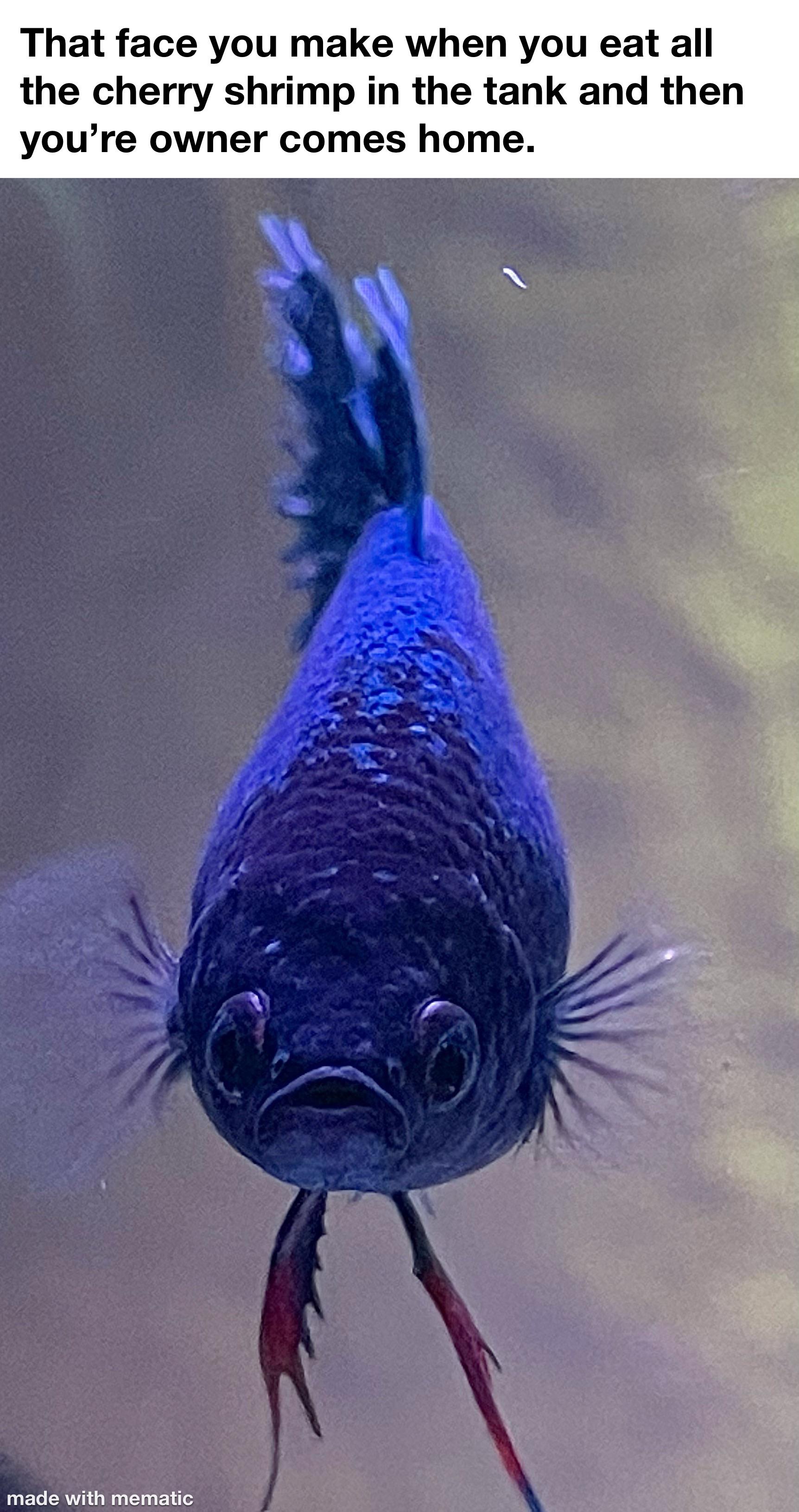 True story | Scrolller