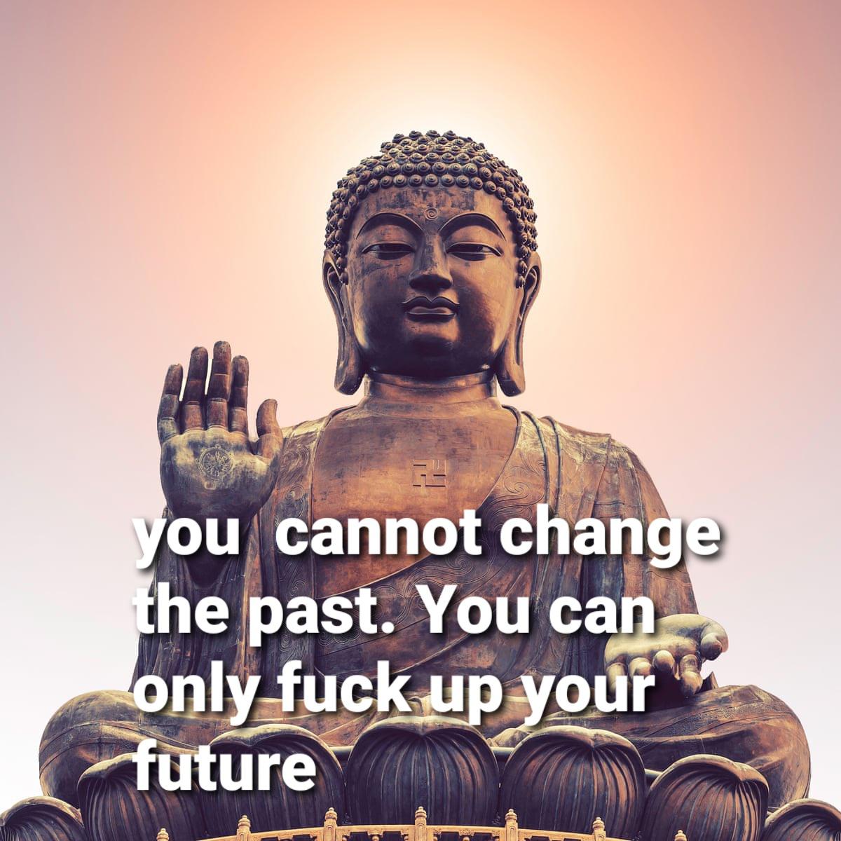 True wisdom | Scrolller