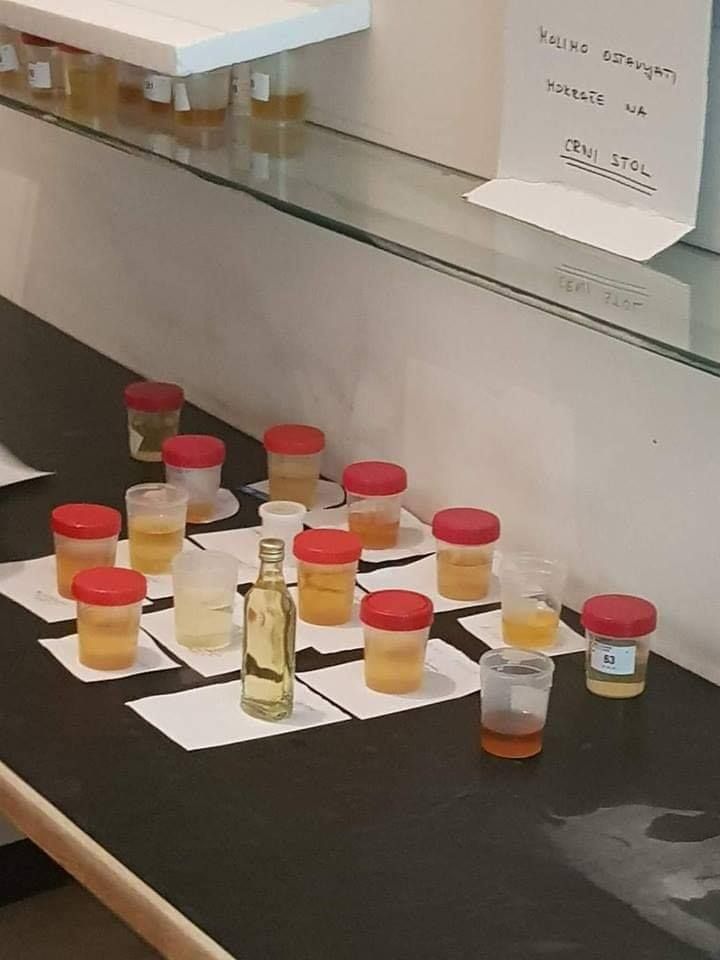 Try to recognize the Slav sample | Scrolller