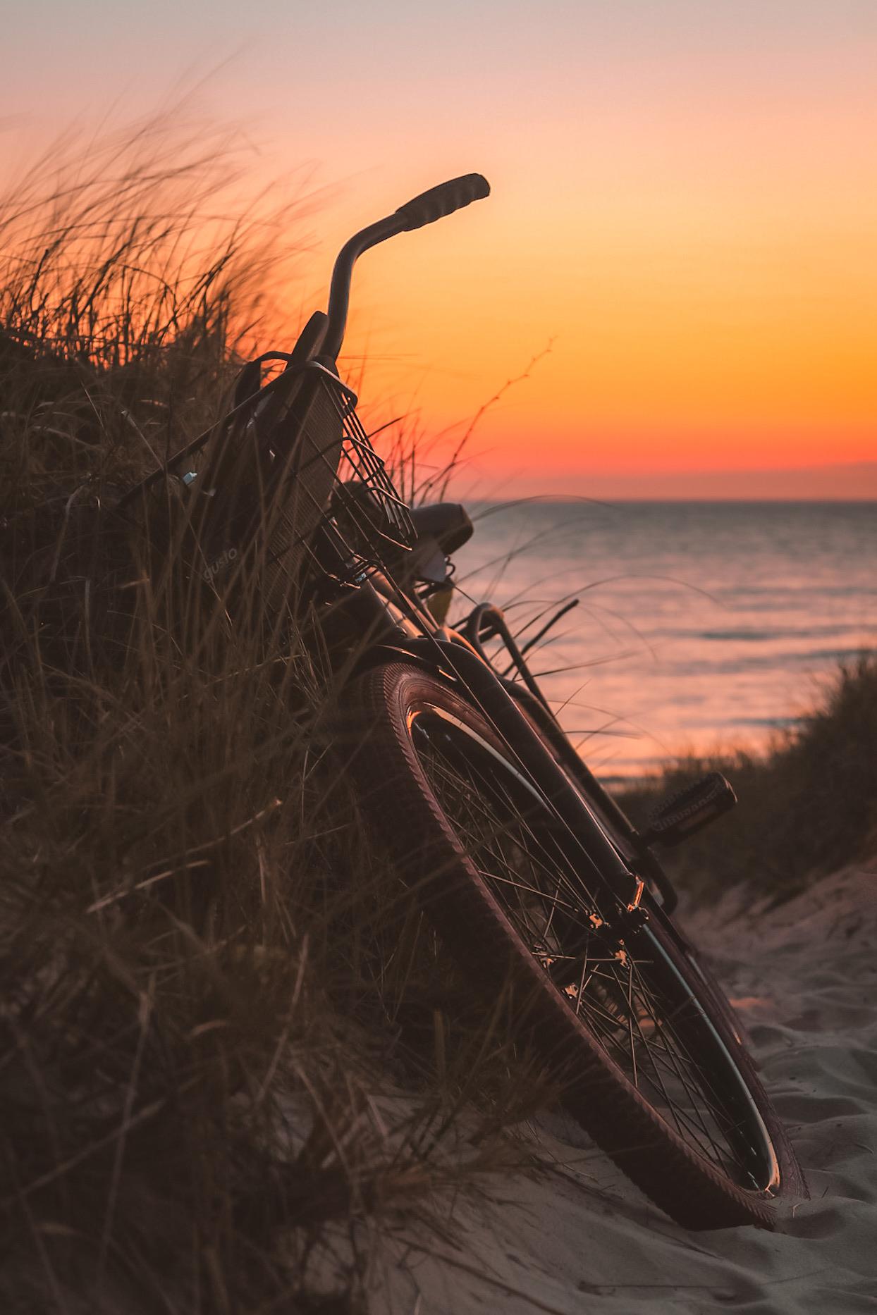 Trying to get back to “normal” | Scrolller