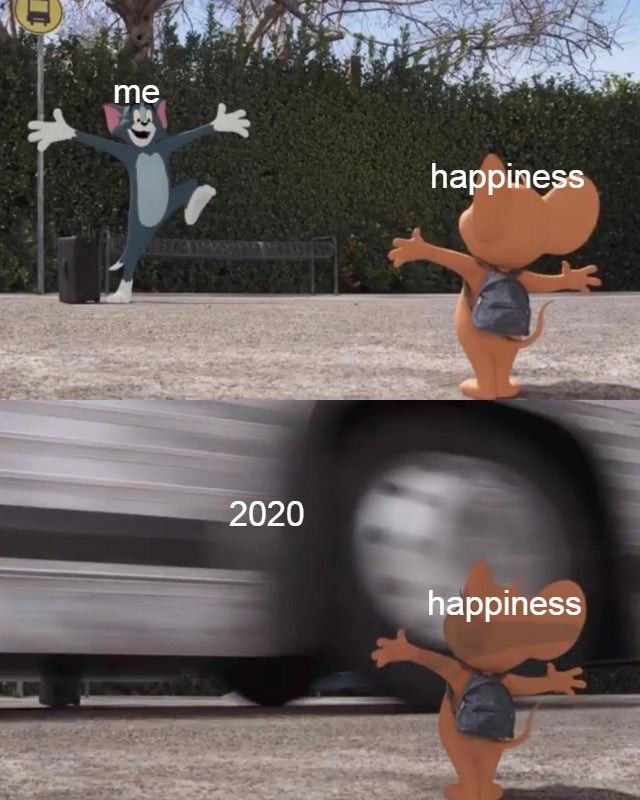 trying to get my first meme in here | Scrolller