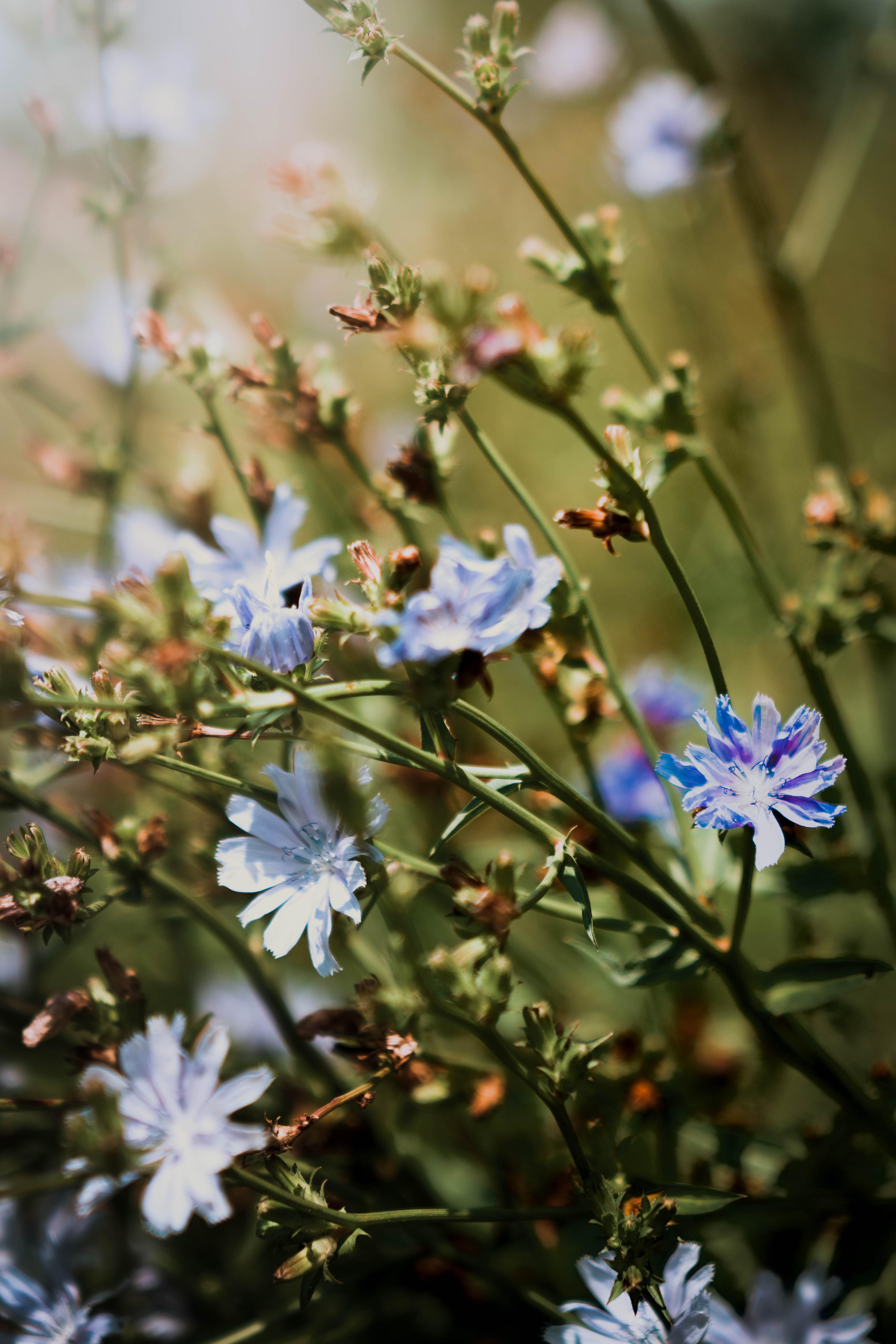 Trying to make it dramatic | Scrolller