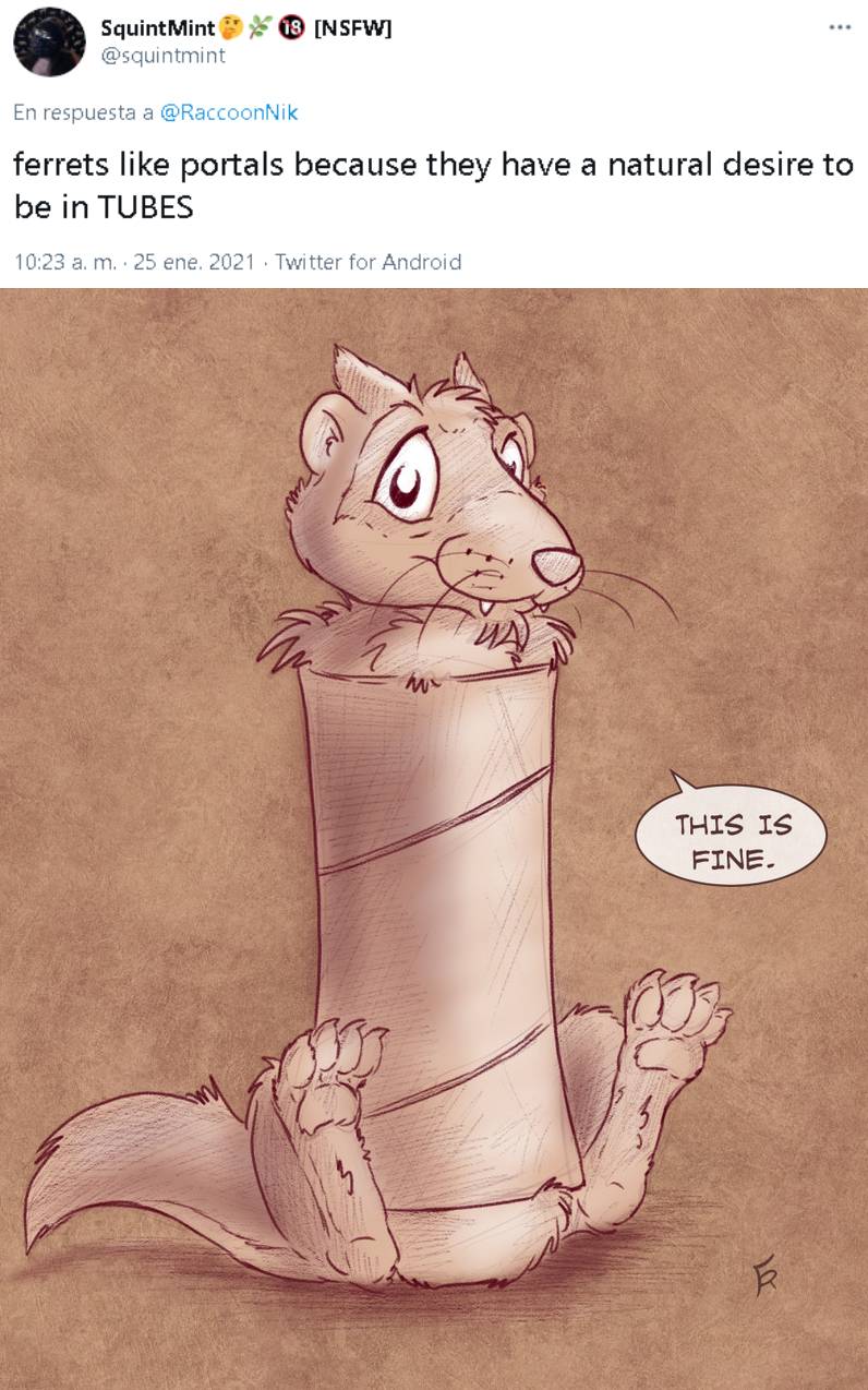 tubes_irl | Scrolller